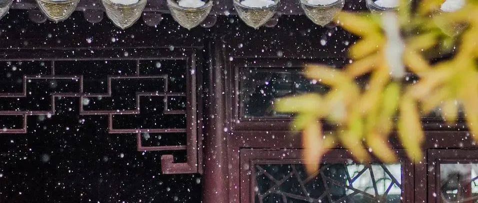 不畏严寒关，终迎春日暖莫怪严南方望春