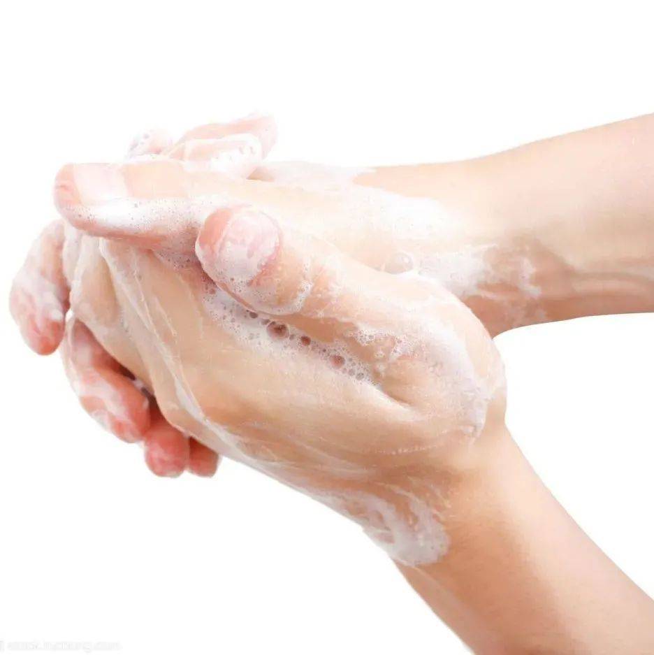 防疫不可轻视洗手？这四个误区你避开了吗_浙江_来源_轻视