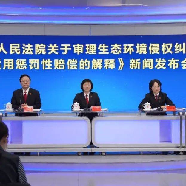 最高法相关负责人就《最高人民法院关于审理生态环境侵权纠纷案件适用惩罚性赔偿的解释》答记者问规定倍数基数