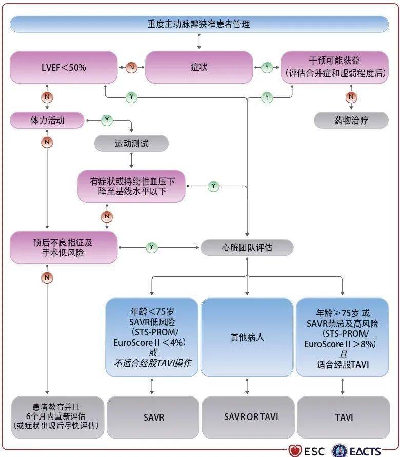 结构2021年度报告（TAVR篇） | 宋光远教授：TAVR领域进展如火如荼，国内外热点层出不穷_患者_瓣膜_手术