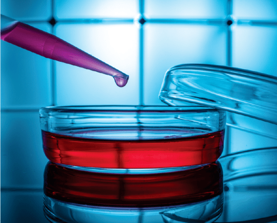 Science：同一批次的FBS居然做出来的实验结果也会不同？_培养基_细胞_研究