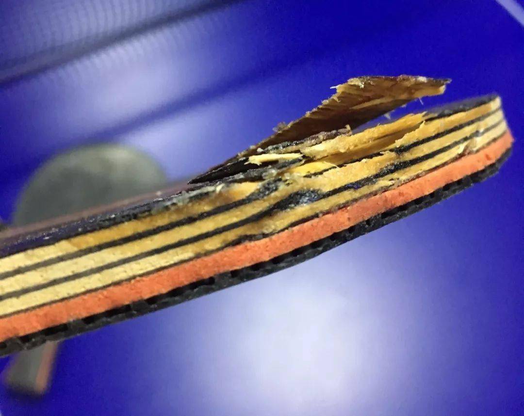 乒乓球底板磕坏磕断了千万别扔，用这个办法就能恢复！_球拍_胶皮_木材