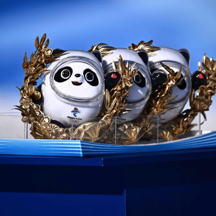 冰墩墩的英文名为什么不是Bing Dun Dun？_Dwen_panda_中国