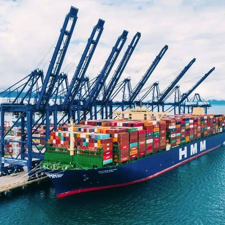 刚刚，HMM公布史上最强财报：运费大涨致净利润飙升44.5倍_集装箱_net_公司