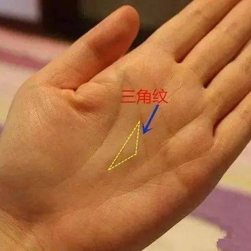 男左女右,教你手相看命!生命线婚姻感情