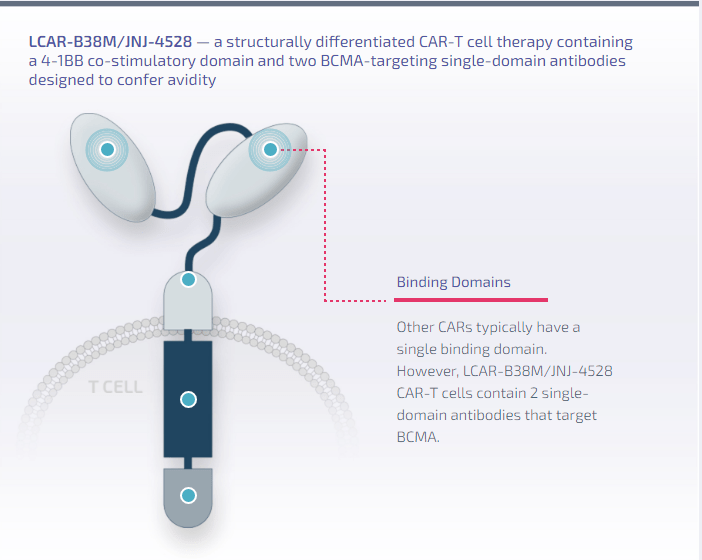 传奇生物靶向BCMA的CAR-T疗法Cilta-cel获FDA批准上市_患者_治疗_队列