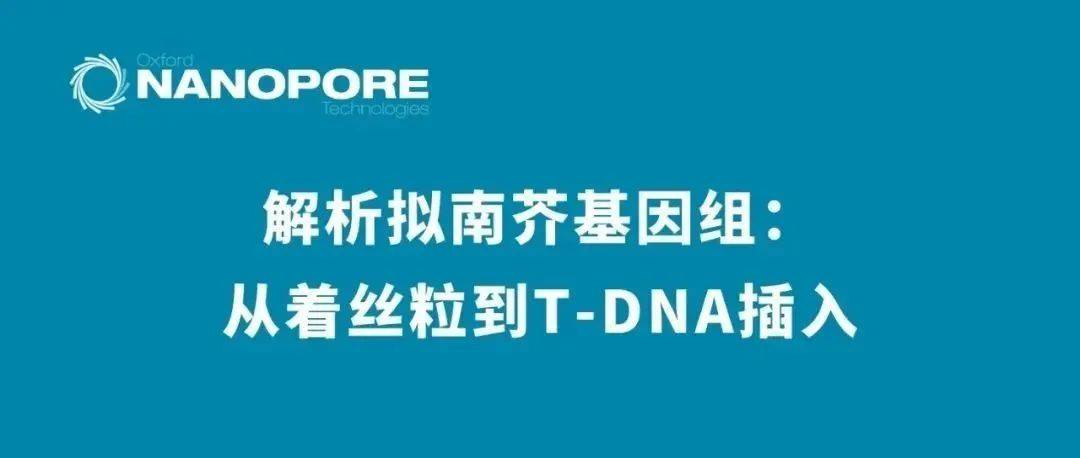 解析拟南芥基因组：从着丝粒到T-DNA插入_组装_研究人员_纳米