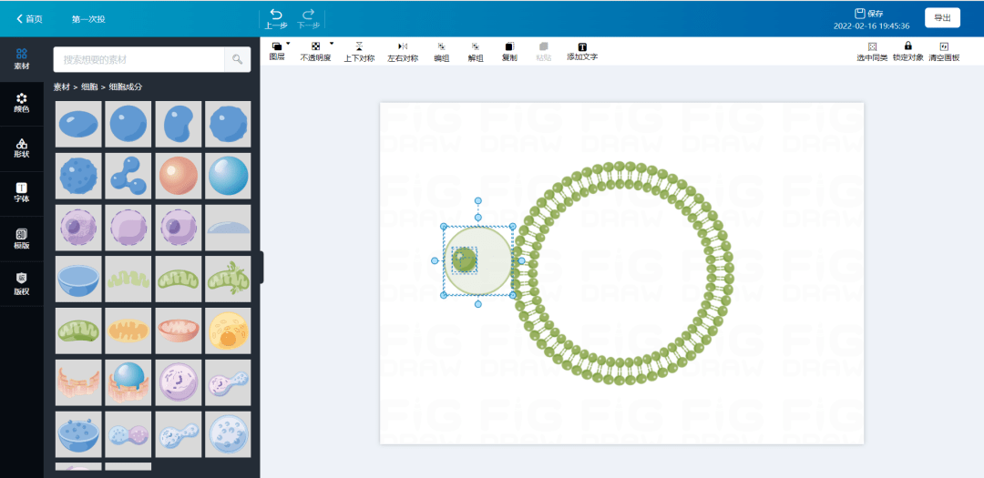 最高5000元！国内首个在线科研绘图平台Figdraw发布奖学金！_素材_高清图_基础