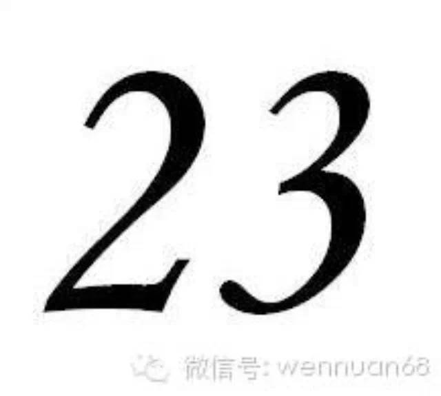 3 x 8 = 23 （火爆了！）_颜回_孔子_古树莫