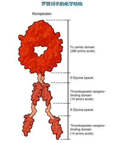 一文详解｜马军教授: 促血小板生成素受体激动剂(TPO-RA)与ITP治疗的“前世今生”_rh-TPO_患者_疗效