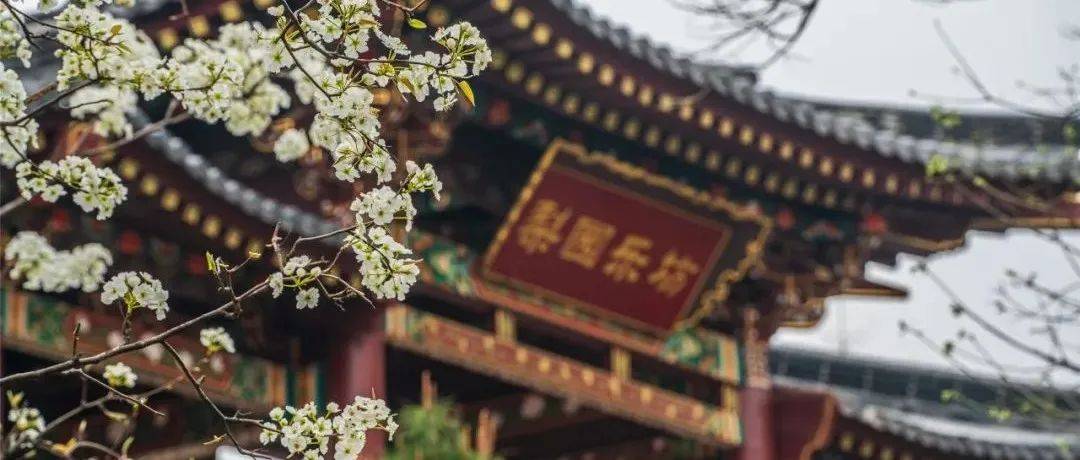 繁花盛开 一文带你读懂“梨园”与梨花的关系 华清宫 唐代 唐玄宗