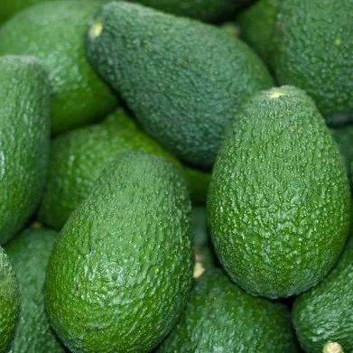 Russia disruptions cut Peru avocado growth prospects_the_of_nation