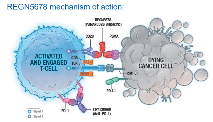 盘点 | 诺华PSMA靶向疗法获批，拜耳、安进等都在开发，PSMA的开发前景有多大？_治疗_细胞_患者