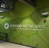 Ginkgo发布2021年报：年收入同比增长309%，「生物安全」版块业绩增长迅速，计划今年增加60个细胞平台_亿美元_Foundry_Ginkgo
