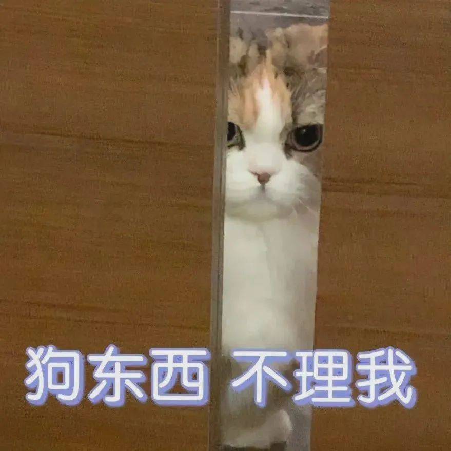 今日の表情包，3-29_男朋友_emmmm_沉默