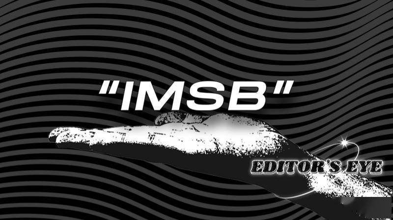大家好，我的MBTI人格是：IMSB_测试_事物_世界
