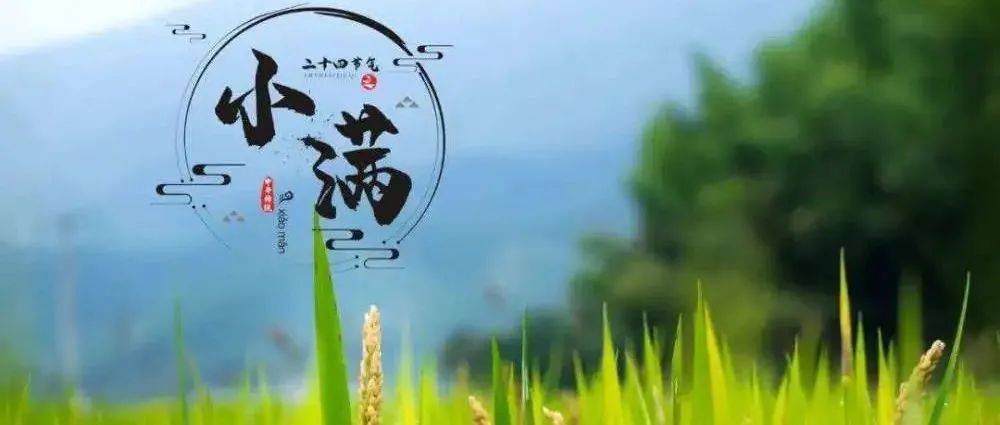 今日小满丨愿你的生活幸福美满! 时节 小有 收获