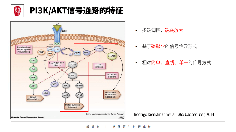 一图胜千言！MAPK、PI3K/AKT、Wnt 、NF-κB等12个信号通路图解，一目了然！_受体_激酶_细胞