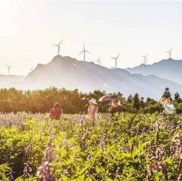 Picturesque wind farm_Wind_the_and