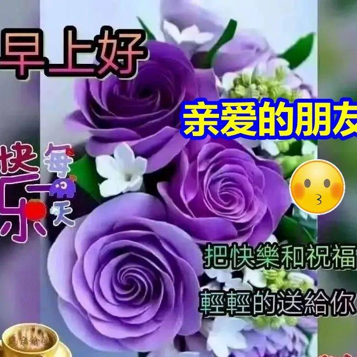 早上好表情包，感恩相遇，珍惜友情，祝您健康快乐！_一个人_疯子_诺言