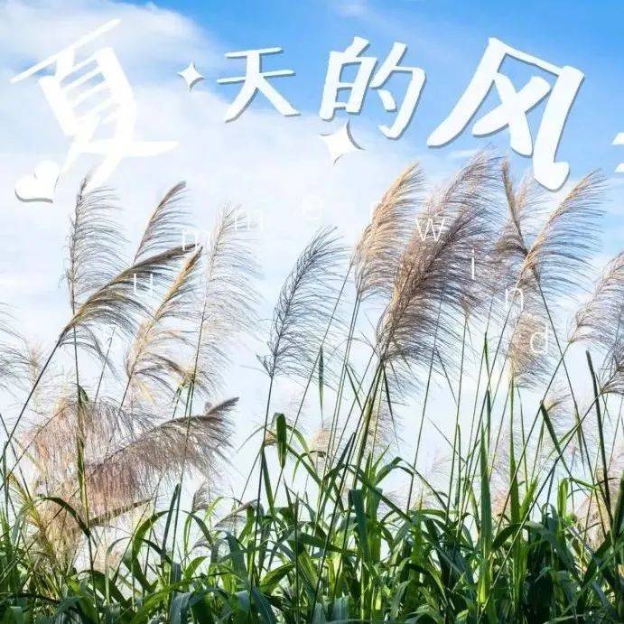 无锡农商银行金曲 剑兰推荐温岚夏天周杰伦