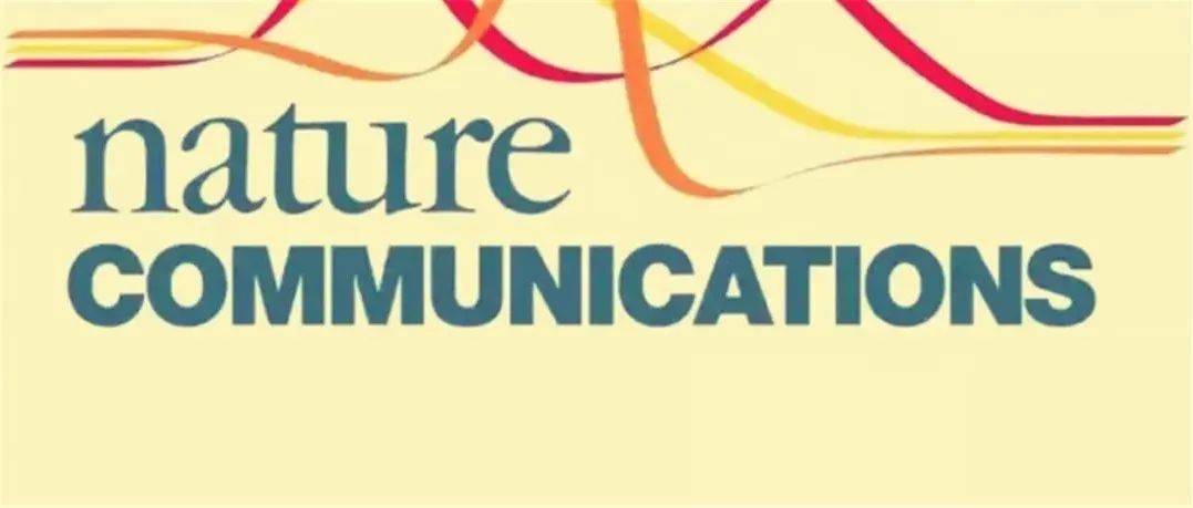 Nature Communications｜徐骁教授团队与浙大范骁辉、陈华钧教授团队合作发表细胞间通讯SpaTalk新研究_SpaTalk_徐 ...
