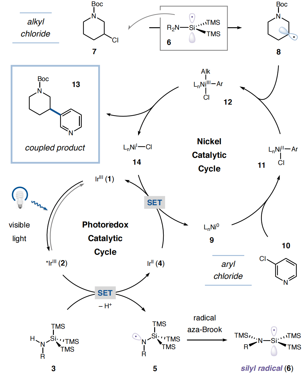 诺奖得主David MacMillan教授：光催化下氯代烷烃的交叉亲电偶联反应_mmol_yield_mg