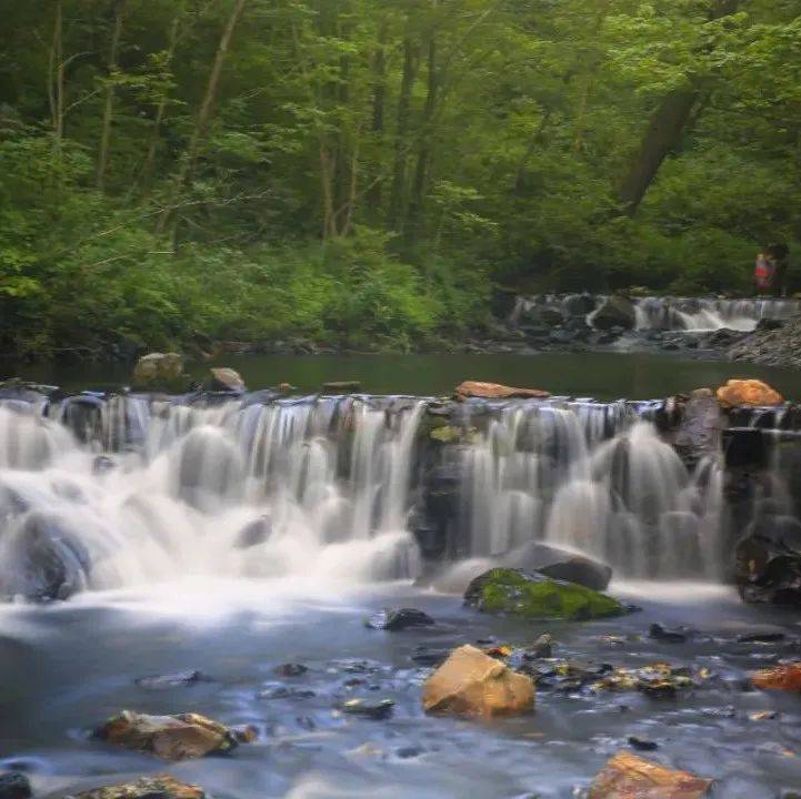 全国林业摄影抖音大赛，“发现”了哪个国有林区_凤凰山_龙江森_孙阁