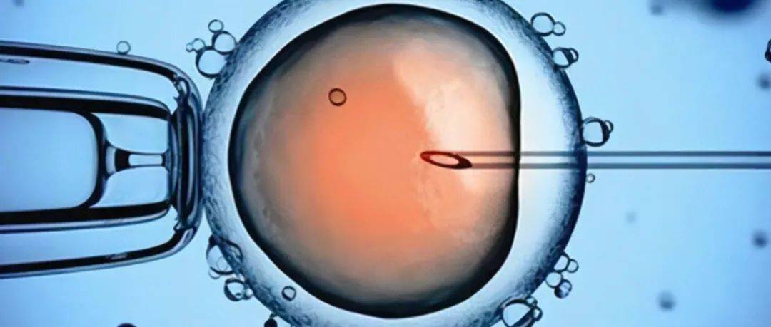 【Nature】突破时间维度！对“活”的单细胞进行转录组学动态测序_Live-seq_分析_分子