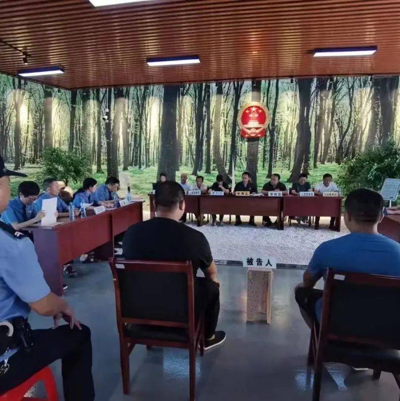 铜鼓老表判刑9个月偷树15方卖了6500，代价是在太大了_朱某_罗某某_红豆杉