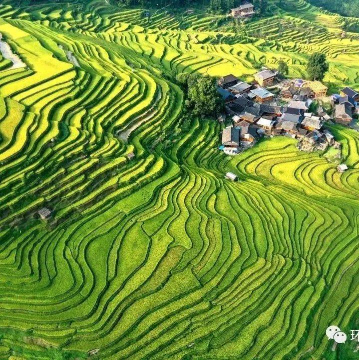 可占用生态保护红线10大情形(原为8类)活动关键词建设