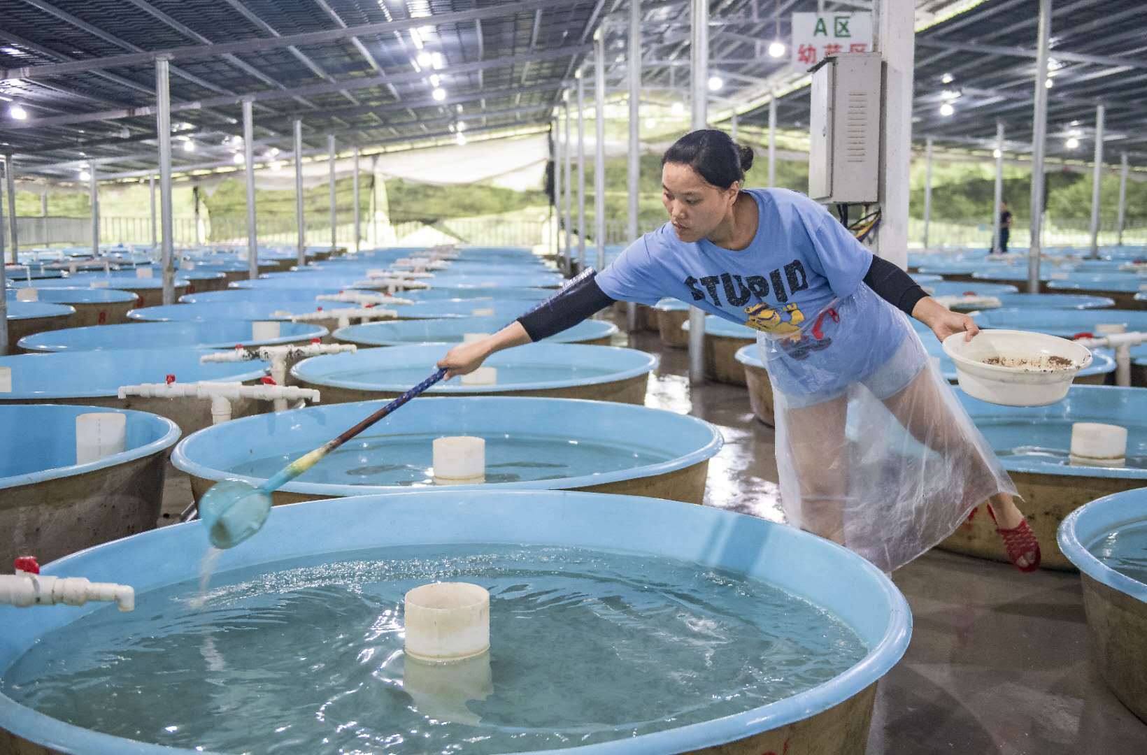 铜仁：特色成规模 丰产又丰收_发展_印江_舒齐珍