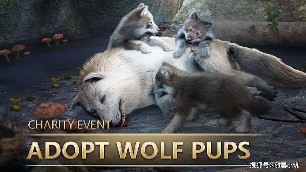 Special动物主题重度策略游戏《Wolf Game》掀起狼族崛起风潮_狼群_The_Kingdom