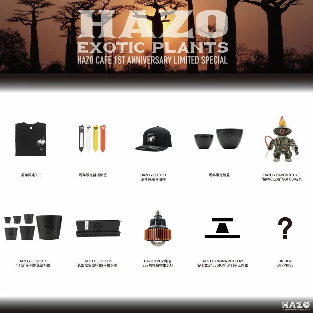 「 不止珍奇植物的HAZO咖啡店周年庆大放送。｜XH55友达推荐 」_店铺_入手_制度