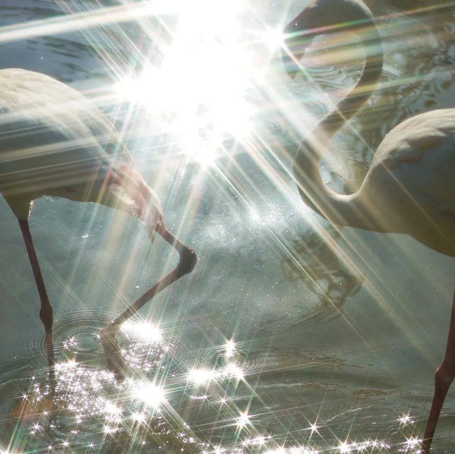 My life is my poetry_摄影_作品_cnu