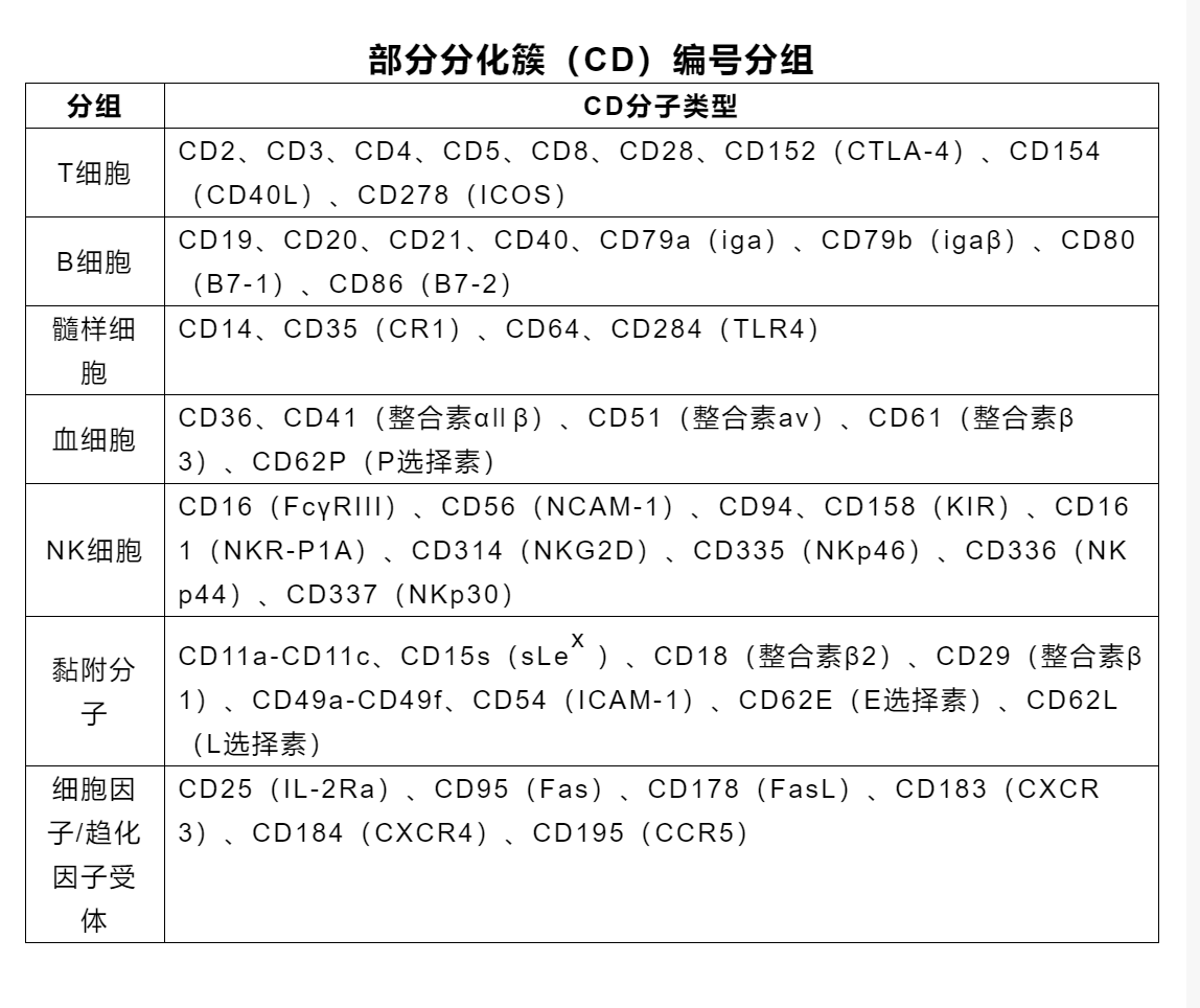 CD3单克隆抗体：突破性疗法的又一次“浴火重生”_细胞_异源_信号