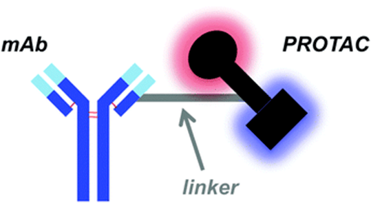 偶联新模式！PROTAC+ADC＝DAC(定向降解抗体偶联物)_mAb_接头_负载