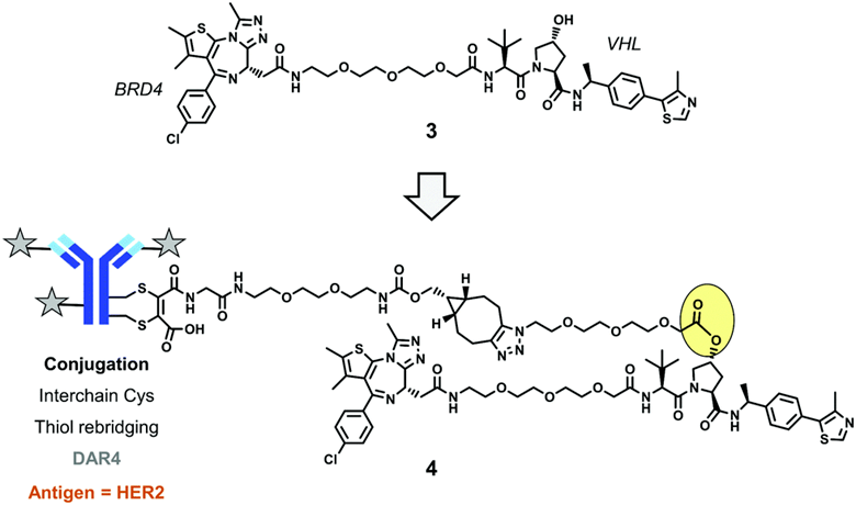 偶联新模式！PROTAC+ADC＝DAC(定向降解抗体偶联物)_mAb_接头_负载