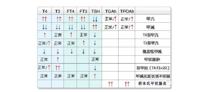 甲状腺功能检查“八大金刚”指标解读！_抗体_综合征_疾病