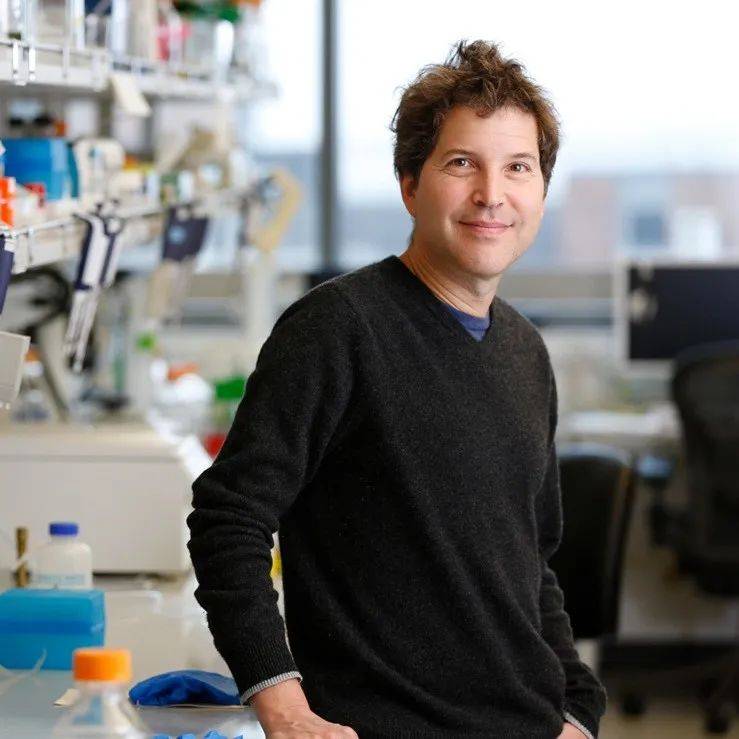 同日两篇Science论文，David Baker团队推出从头设计蛋白质序列新模型，几秒即可设计出原创分子_结构_DeepMind_Baker