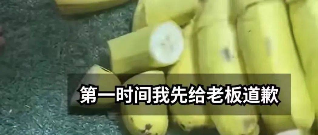 “熊孩子”割坏店内香蕉,这位妈妈的做法太赞了!教育“熊孩子”,这三点至关重要! 李叔 父母 魏莱