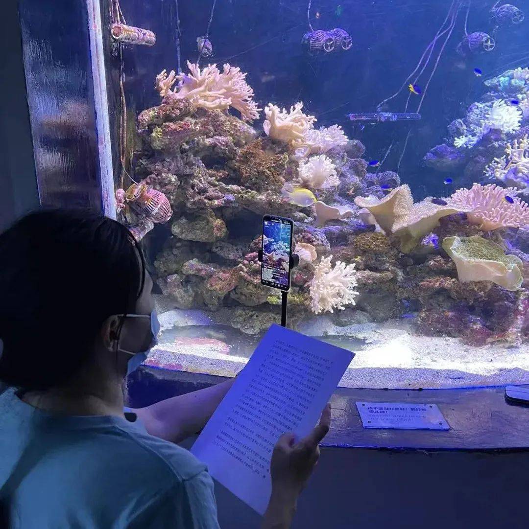 第三届9•20全国珊瑚保护日活动在全国多地启动_海洋_海底世界_竹节