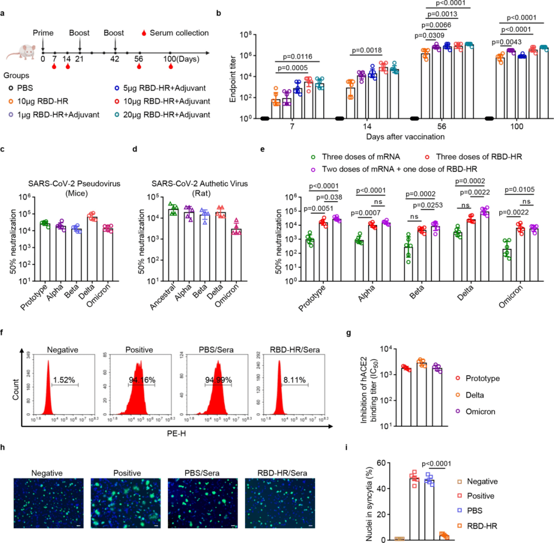 自组装三聚体重组蛋白疫苗高效预防Omicron变异新冠病毒感染_抗体_诱导_Delta