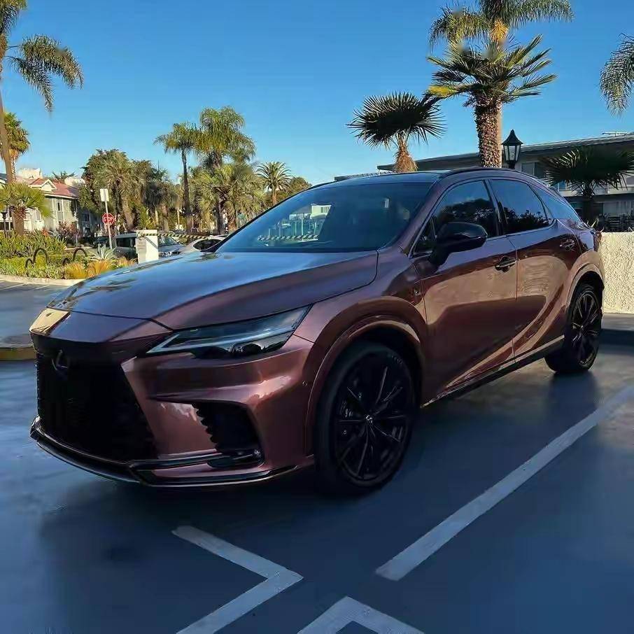 运动版雷克萨斯RX亮相，质感一流，竞争宝马X5，2.4T+时尚套件_搜狐汽车_搜狐网