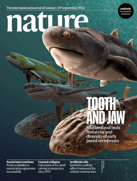 一日连发4篇Nature！中国科学院一团队在“从鱼到人”探源研究取得重大突破_脊椎动物_化石_朱敏