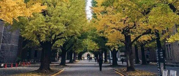 盘点“GMARCH”的经营学部的入试要求！_大学_日本_数学