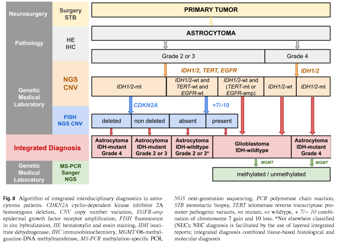 2021 WHO分类建议胶质瘤患者检测分子变异，NGS vs IHC怎么选？_进行了_样本_方法