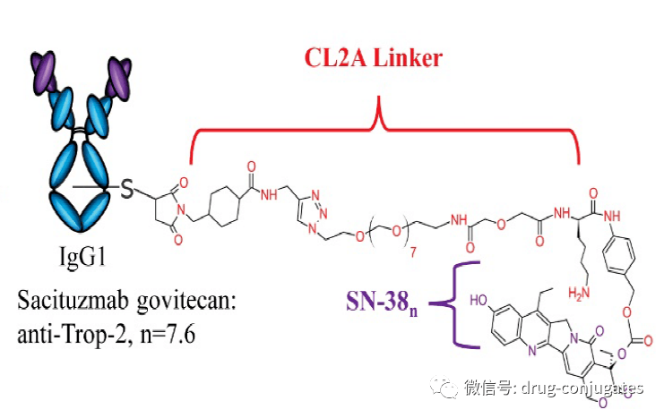 FDA已批准的ADC药物专利深度分析_linker_抗体_卡奇