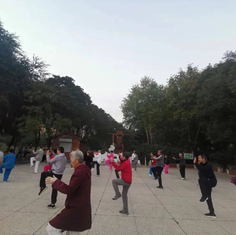 只需掌握这一个要领，太极越打越有味儿！身躯白鹤野马