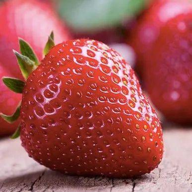 Extreme cold hinders crops in New Zealand_the_frost_McFadden